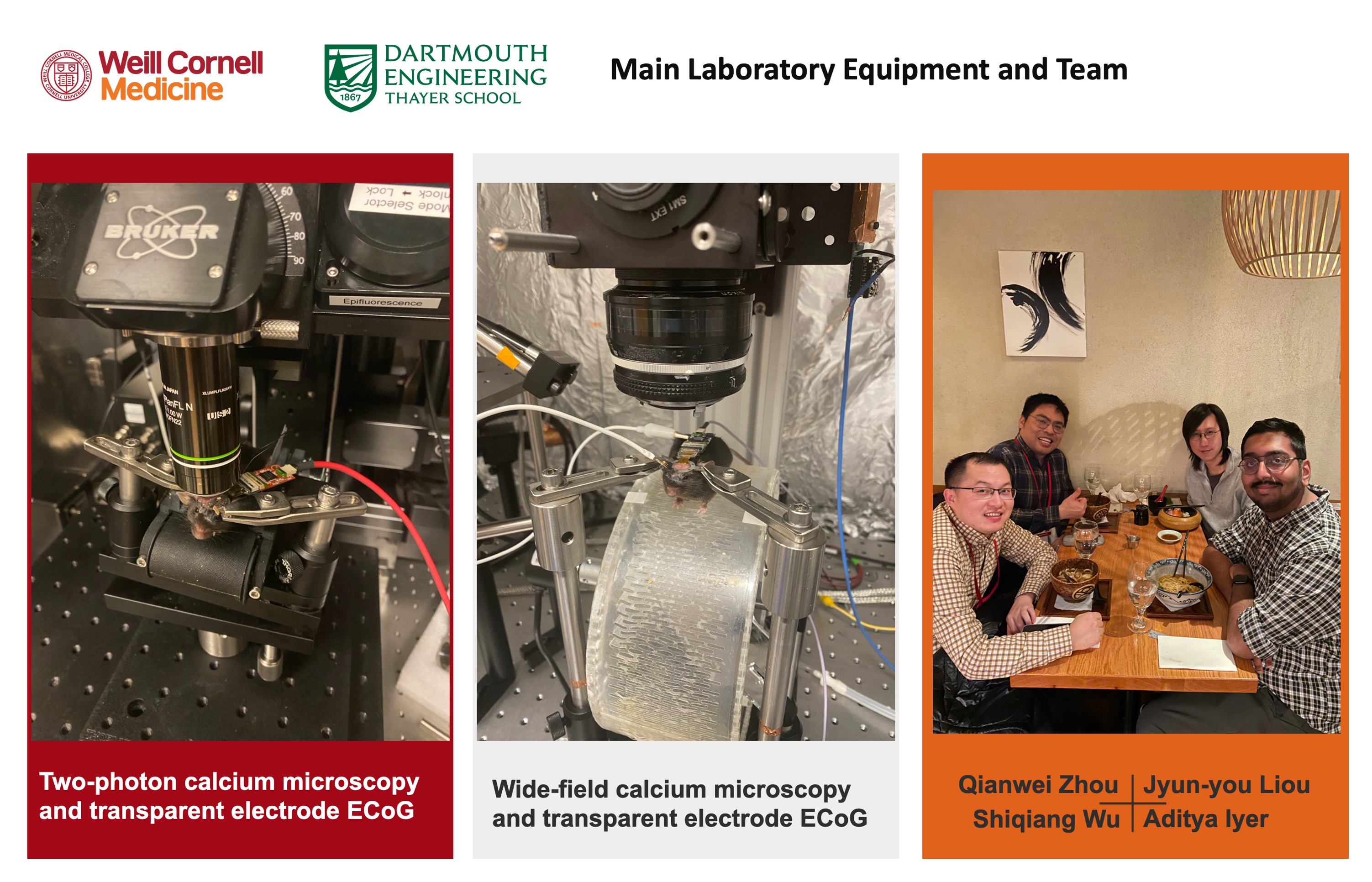 Welcome to the Liou Lab | Jyun-you Liou’s Lab